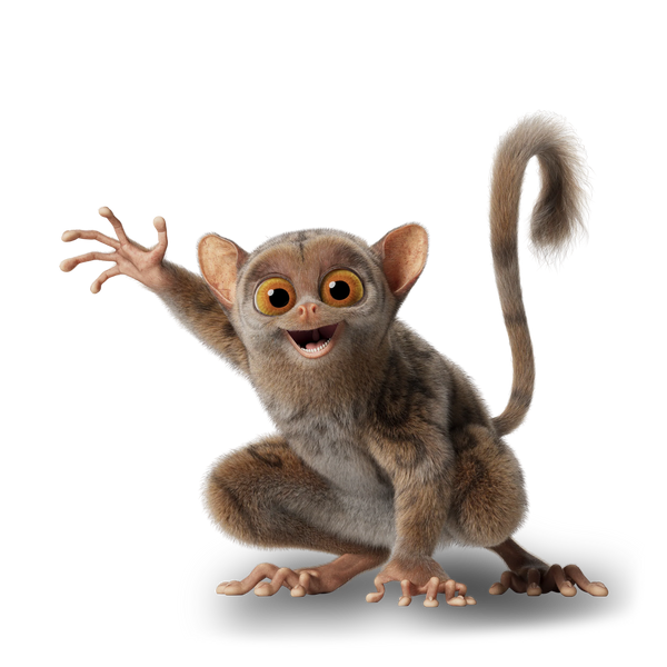 Fitzgeraldo, der Koboldmaki – Die Schule der magischen Tiere ...