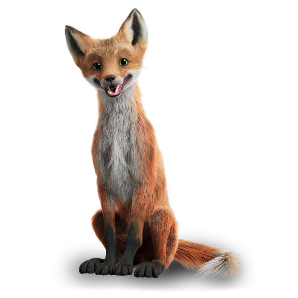 Rabbat, der Fuchs – Die Schule der magischen Tiere - Offizieller Shop ...